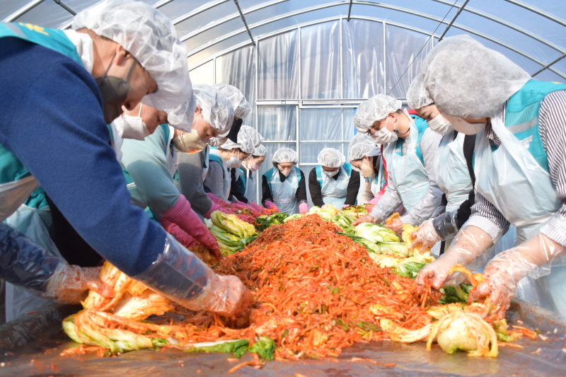 포토뉴스 - 한국재정정보원, 2022년 사랑의 김장김치 나눔 활동 실시 상세화면 | 한국재정정보원 > 알림·소식 > 포토뉴스